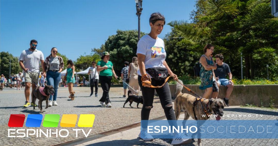 PetFestival reúne amantes dos animais em Espinho | EspinhoTV