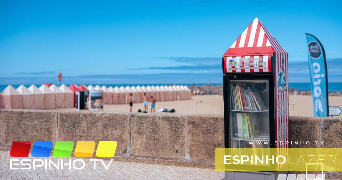 Espinho volta a convidar todos a “Mergulhar na Leitura” neste verão ...